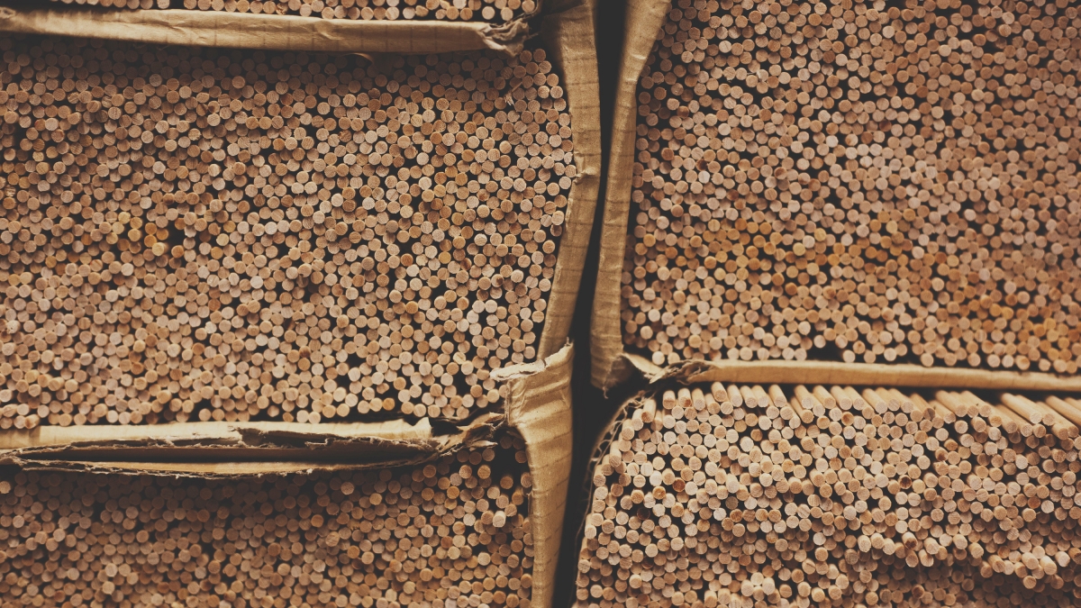 Tom Raffield website | Nixon Design